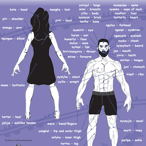 Shop :: Goldfields Aboriginal Language Centre