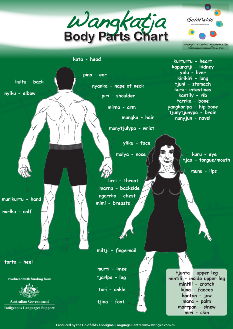 Wangkatja Body Parts Chart – Goldfields Aboriginal Language Centre
