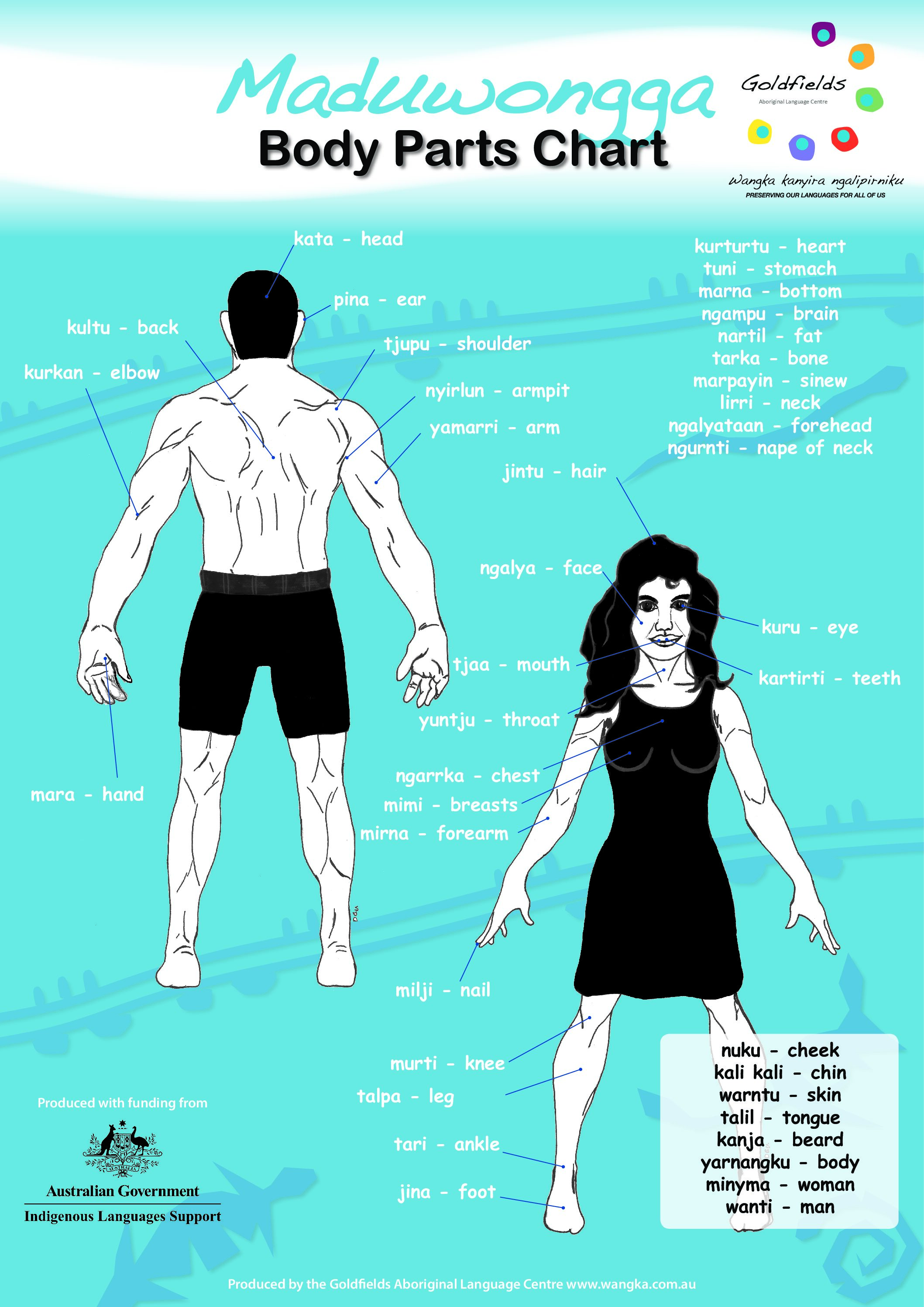 Maduwongga Body Parts Chart Goldfields Aboriginal Language Centre