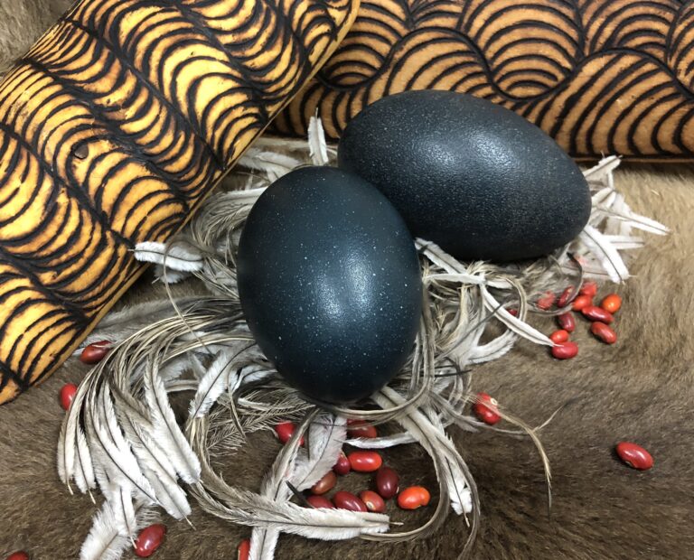 The Karlkurla Experience 2022 – Goldfields Aboriginal Language Centre