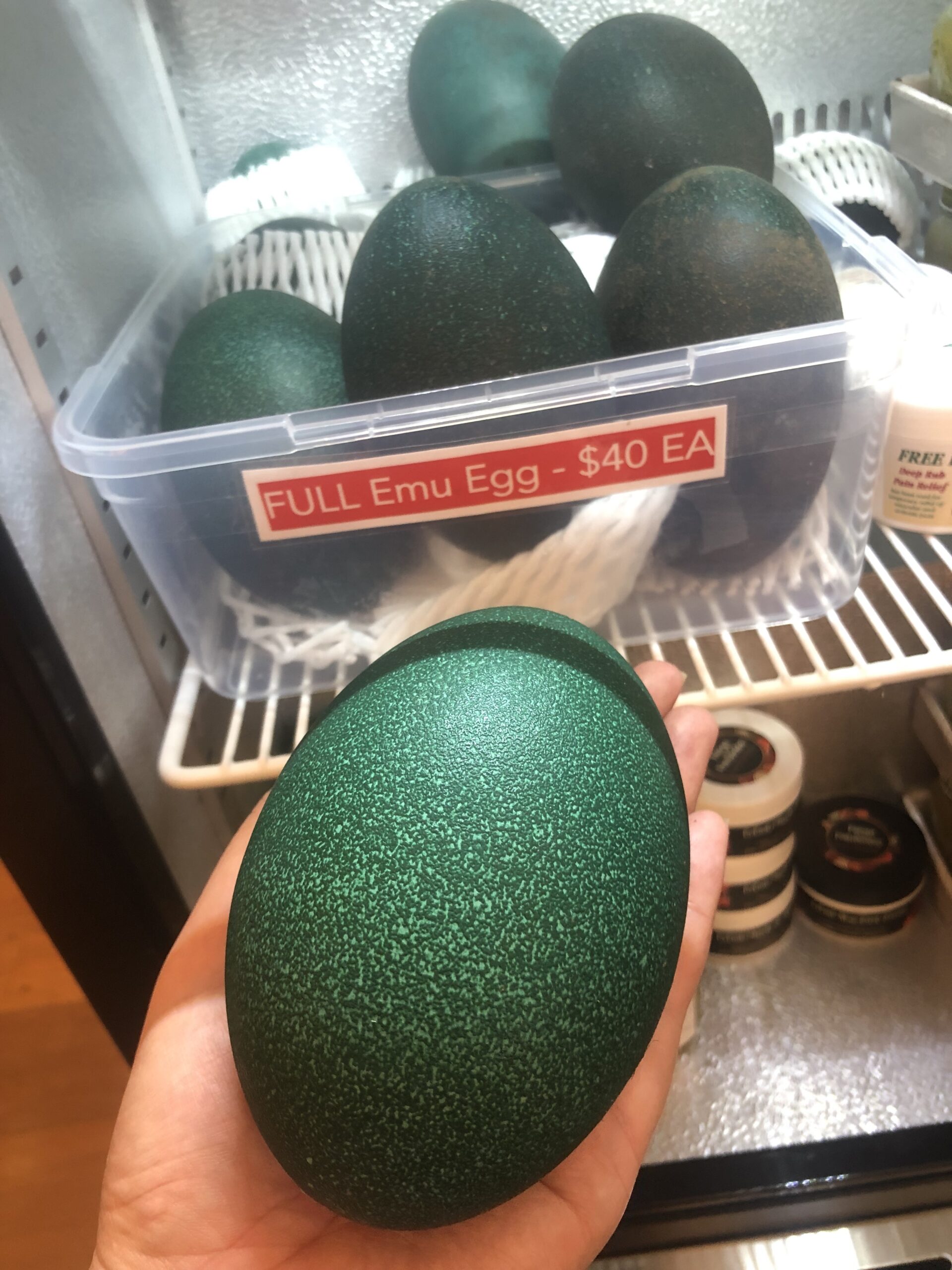 Fresh Emu Eggs Sept 2022 – Goldfields Aboriginal Language Centre