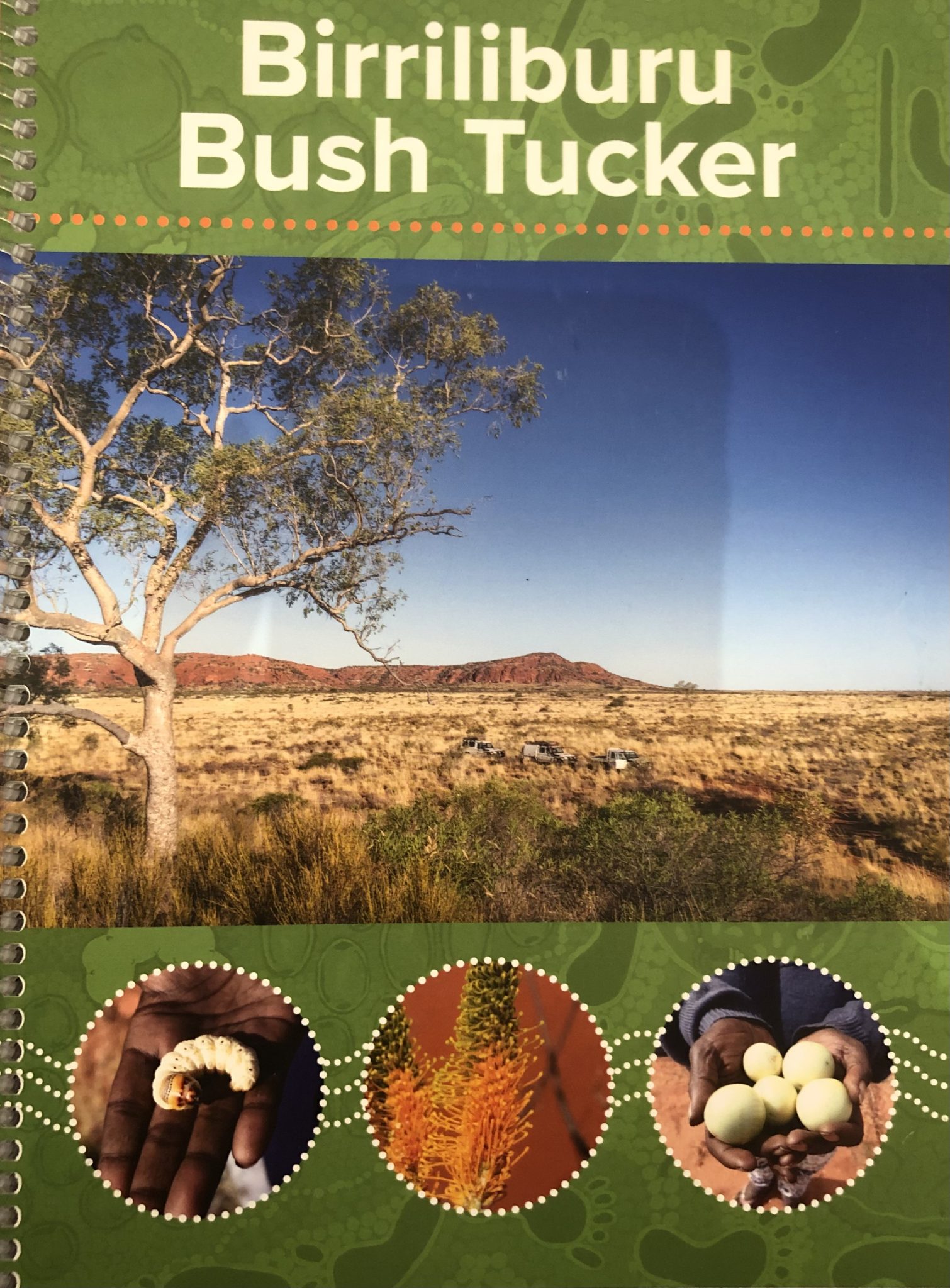 Birriliburu Bush Tucker – Goldfields Aboriginal Language Centre